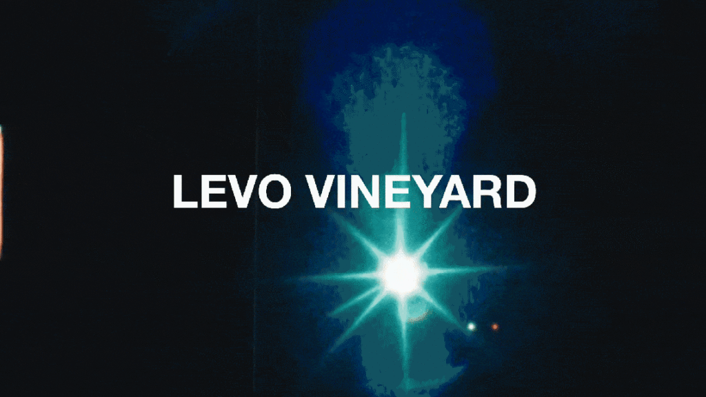 Spring Release 2025 | Levo Vineyard